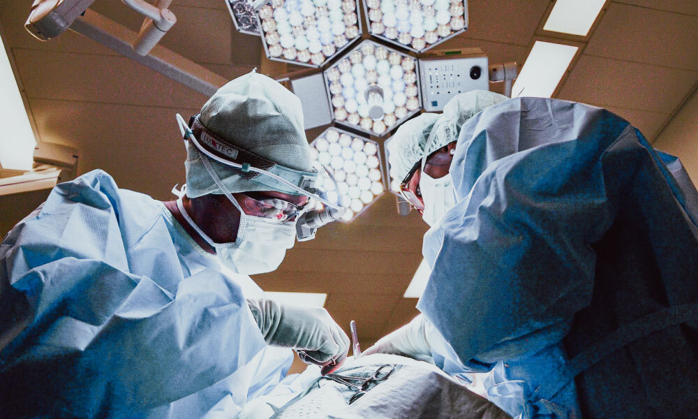 Transplantacja – najważniejsze fakty – FarmaProm – rozwiązania i usługi ...